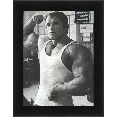 Плакат, постер на бумаге Арнольд Шварценеггер (Arnold Schwarzenegger). Размер 21 х 30 см