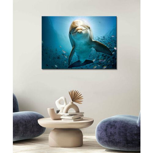 Картина - дельфин, экзотический дельфин, живая природа, дельфин в море (25) 60х80