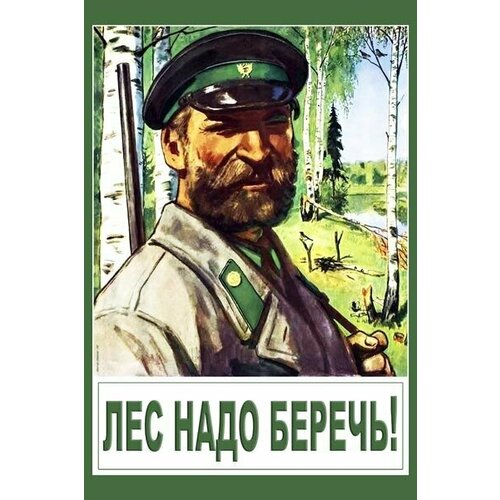 Плакат, постер на холсте СССР, Лес надо беречь. Размер 42 х 60 см