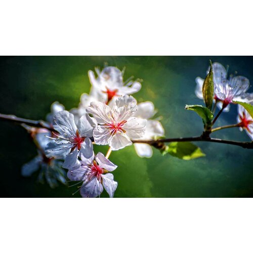 Картина на холсте 60x110 Альянс Лес "Цветы ветка весна цветение природа" на подрамнике / интерьер/ декор