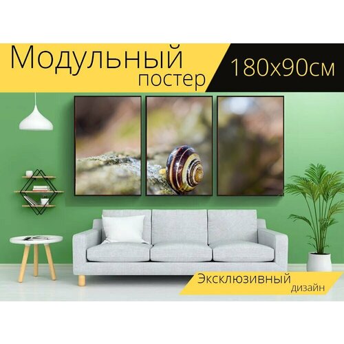 Модульный постер "Улитка, лес, осень" 180 x 90 см. для интерьера