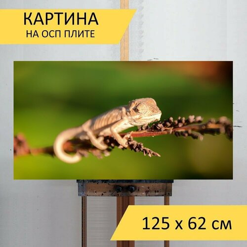Картина на ОСП 125х62 см. "Хамелеон, ящерица, рептилия" горизонтальная, для интерьера, с креплениями