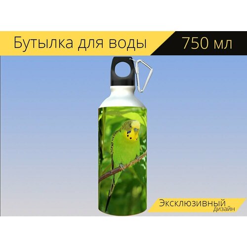 Бутылка фляга для воды "Волнистый попугайчик, птица, животное" 750 мл. с карабином и принтом