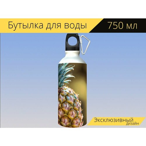 Бутылка фляга для воды "Ананас, тропические фрукты, фрукты" 750 мл. с карабином и принтом