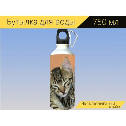 Бутылка фляга для воды "Мир котят, котенок, сон" 750 мл. с карабином и принтом