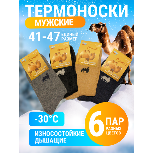 Термоноски , 6 пар, размер 41-47, синий, черный, коричневый, серый