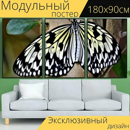 Модульный постер "Бабочка, большой, красочный" 180 x 90 см. для интерьера