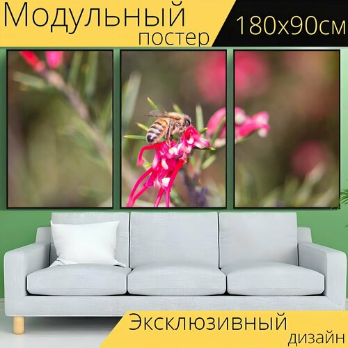 Модульный постер "Пчела, цветок, цветочная пыльца" 180 x 90 см. для интерьера