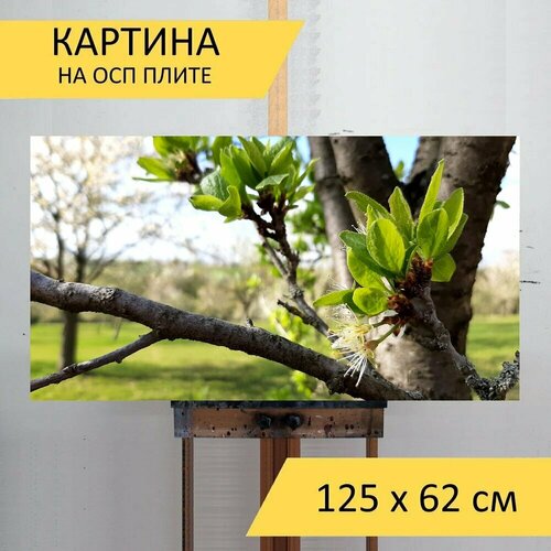 Картина на ОСП 125х62 см. "Бутон, дерево, весна" горизонтальная, для интерьера, с креплениями