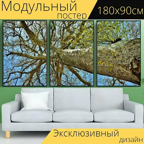 Модульный постер "Дерево, пейзаж, природа" 180 x 90 см. для интерьера