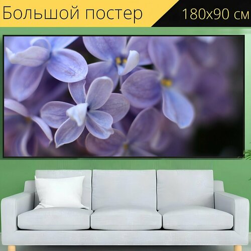 Большой постер "Сирень, фиолетовый, растение" 180 x 90 см. для интерьера