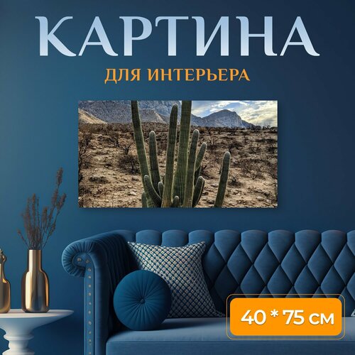 Картина на холсте "Кактус, пустыня, аризона" на подрамнике 75х40 см. для интерьера