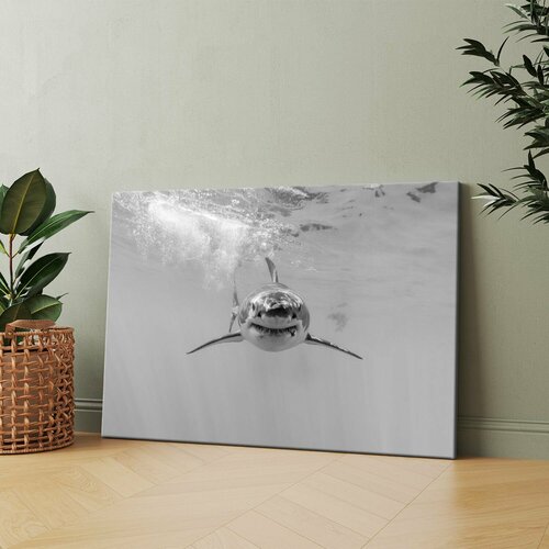 Картина на холсте (Большая белая акула плавает в океане) 20x30 см. Интерьерная, на стену.