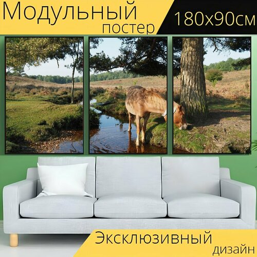 Модульный постер "Лошадь, пони, новый лес" 180 x 90 см. для интерьера