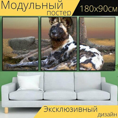 Модульный постер "Африканская дикая собака, собака, дикая природа" 180 x 90 см. для интерьера