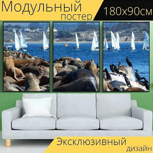 Модульный постер "Животные, морские львы, парусное судно" 180 x 90 см. для интерьера