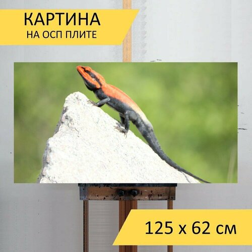 Картина на ОСП 125х62 см. "Хамелеон, рептилия, ящерица" горизонтальная, для интерьера, с креплениями