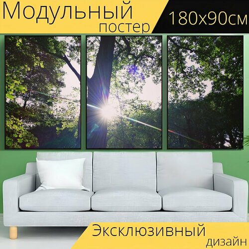 Модульный постер "Солнечный свет, лесной массив, деревья" 180 x 90 см. для интерьера
