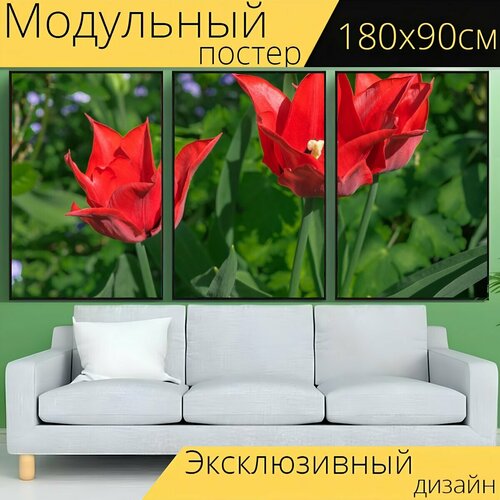 Модульный постер "Цветок, тюльпан, яркий" 180 x 90 см. для интерьера