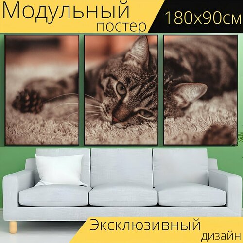 Модульный постер "Кошка, любовь, домашний питомец" 180 x 90 см. для интерьера