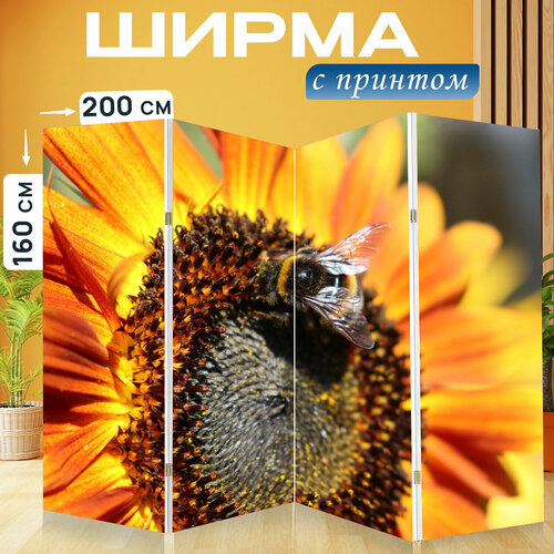 Ширма перегородка с принтом "Пчела, шмель, насекомое" на холсте - 200x160 см. для зонирования, раскладная