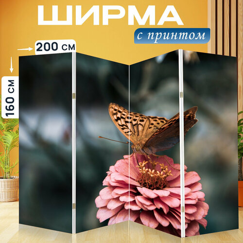 Ширма перегородка с принтом "Бабочка, насекомое, цветок" на холсте - 200x160 см. для зонирования, раскладная