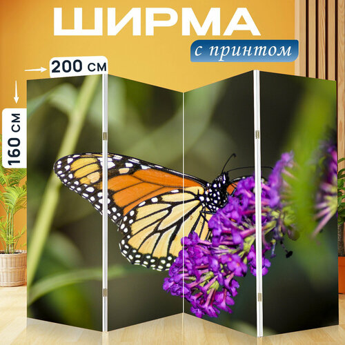 Ширма перегородка с принтом "Бабочка, насекомое, природа" на холсте - 200x160 см. для зонирования, раскладная