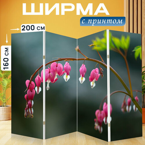 Ширма перегородка с принтом "Полевой цветок, розовый, весна" на холсте - 200x160 см. для зонирования, раскладная