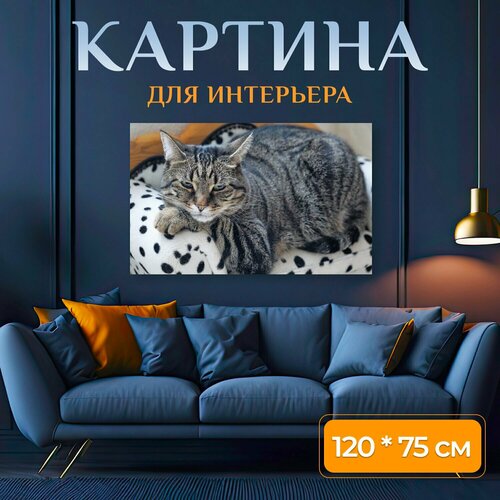 Картина на холсте "Кот, животное, млекопитающее" на подрамнике 120х75 см. для интерьера