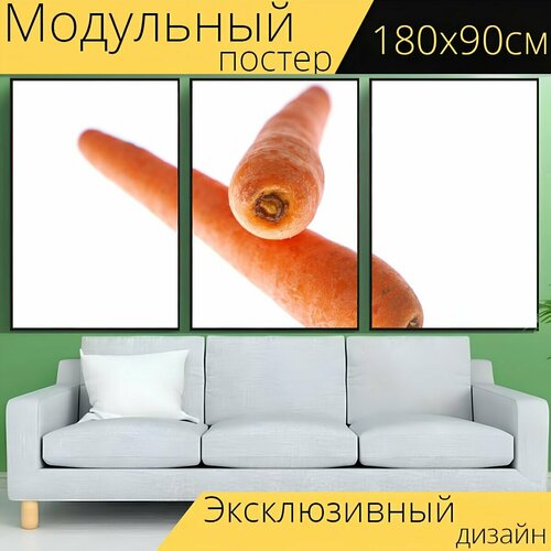 Модульный постер "Морковь, апельсин, овощ" 180 x 90 см. для интерьера