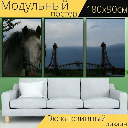 Модульный постер "Лошадь, лошади, мост" 180 x 90 см. для интерьера