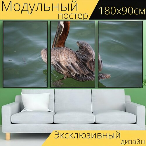 Модульный постер "Пеликан, вода, птица" 180 x 90 см. для интерьера
