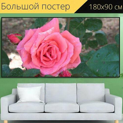 Большой постер "Роуз, розы, цветок" 180 x 90 см. для интерьера