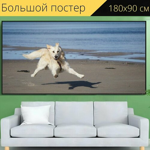 Большой постер "Собака, золотистый ретривер, домашнее животное" 180 x 90 см. для интерьера