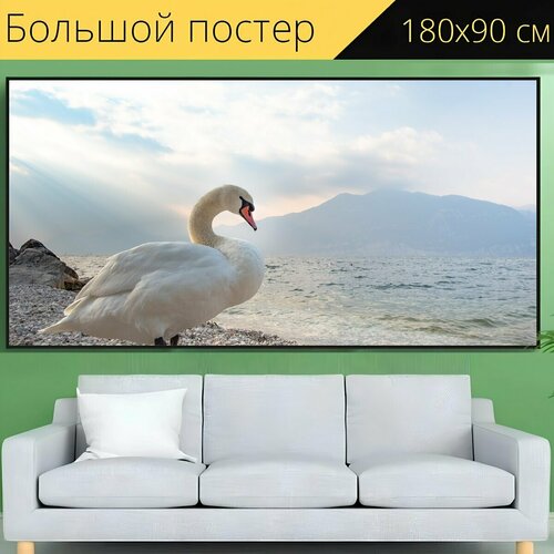 Большой постер "Лебедь, озеро, природа" 180 x 90 см. для интерьера