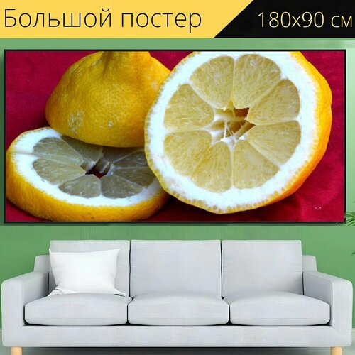 Большой постер "Лимон, фрукты, цитрусовые" 180 x 90 см. для интерьера