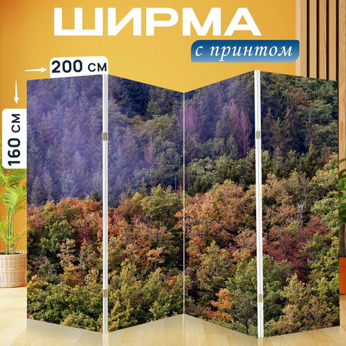 Ширма перегородка с принтом "Лес, осенние краски, туман" на холсте - 200x160 см. для зонирования, раскладная