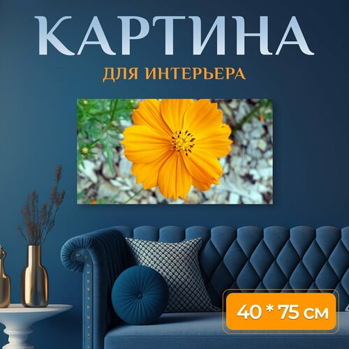 Картина на холсте "Летом, желтый, цветок" на подрамнике 75х40 см. для интерьера