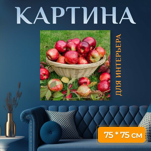 Картина на холсте "Яблоки, сезон, осень" на подрамнике 75х75 см. для интерьера