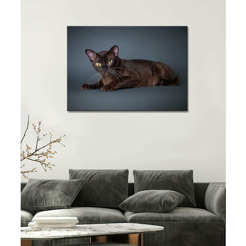 Картина - бурманская кошка, кот, тёмная кошка, ласковая кошка (32) 50х70