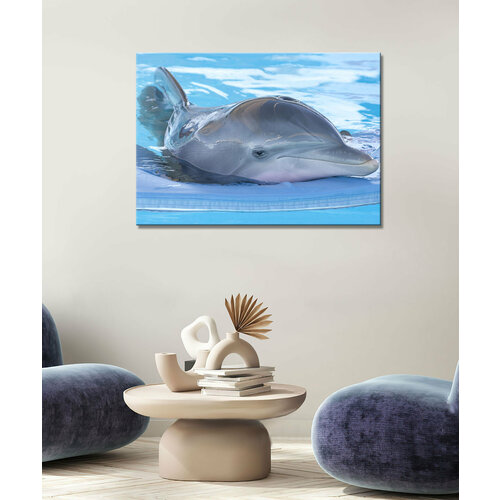 Картина - дельфин, экзотический дельфин, живая природа, дельфин в море (24) 50х70