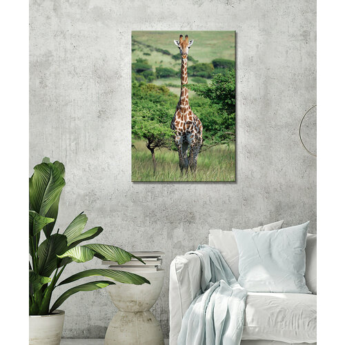 Картина - Жираф, жирафы, африка, жирафы закат, природа жирафы (14) 20х30