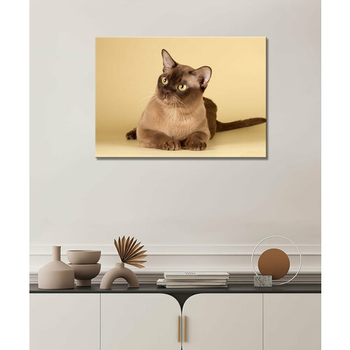 Картина - бурманская кошка, кот, тёмная кошка, ласковая кошка (31) 40х60