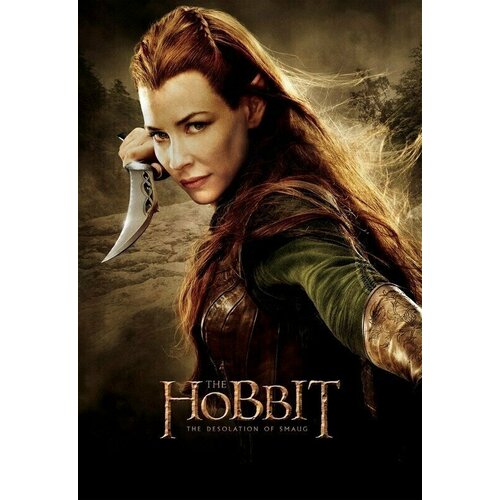 Плакат, постер на бумаге Хоббит: Пустошь Смауга (The Hobbit The Desolation of Smaug), Питер Джексон. Размер 42 х 60 см