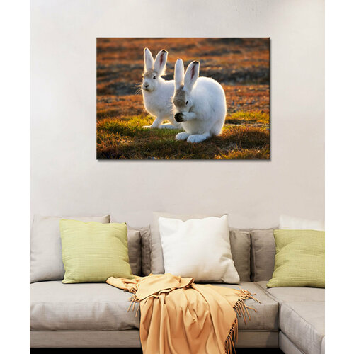 Картина - Заяц, зайцы, зайчонок, зайка, ушастый заяц, пушистый заяц, заяц беляк (6) 50х70