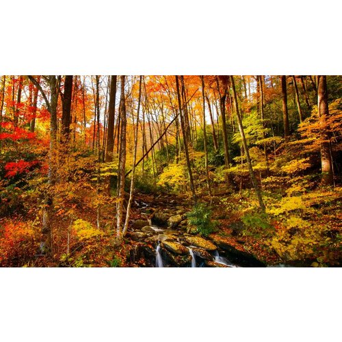 Картина на холсте 60x110 Альянс Лес "Осенние листья река водопад" на подрамнике / интерьер/ декор