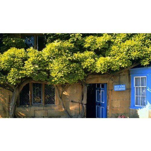 Картина на холсте 60x110 Альянс Лес "Домик с окнами в сад" на подрамнике / интерьер/ декор