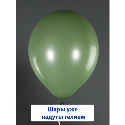Воздушный шар с гелием без рисунка авокадо - Мосшар
