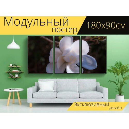 Модульный постер "Магнолия, цвести, весна" 180 x 90 см. для интерьера