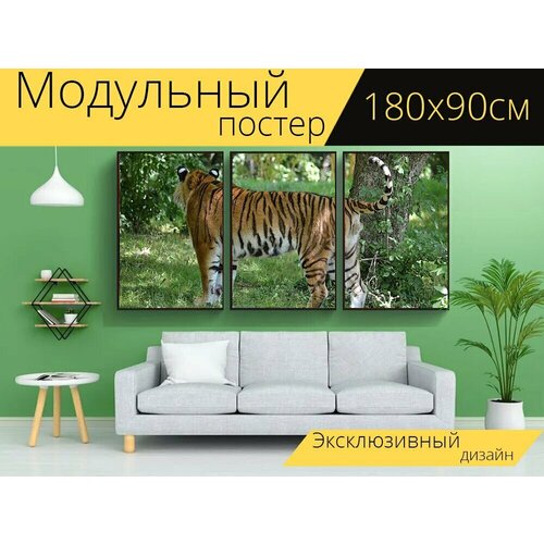 Модульный постер "Тигр, сибирский тигр, зверь мужчина" 180 x 90 см. для интерьера